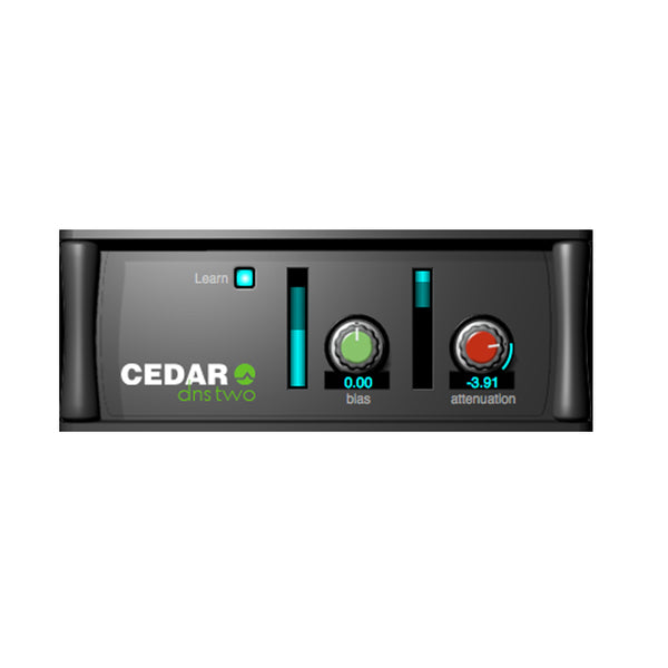 CEDAR CS9 DNS One and DNS Two
